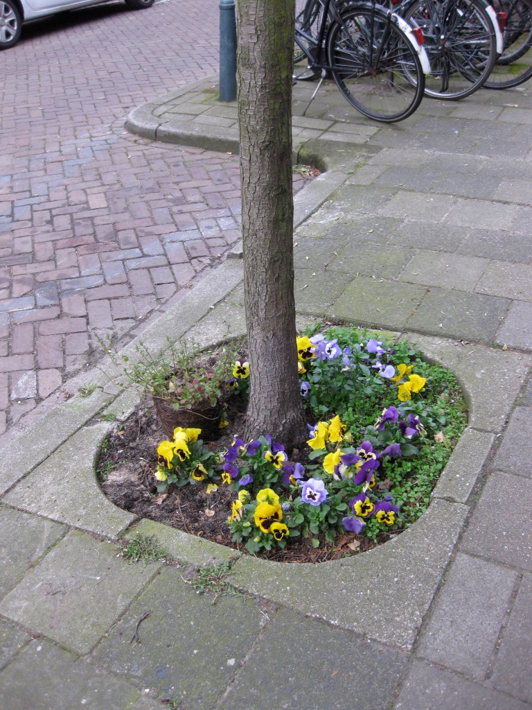 boomspiegel - Meer groen? Zelf doen!